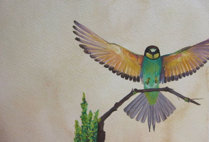 arcane details: bird paintings