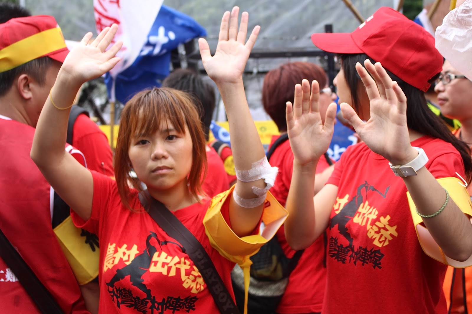The Participant Observer: The Chicken Protest