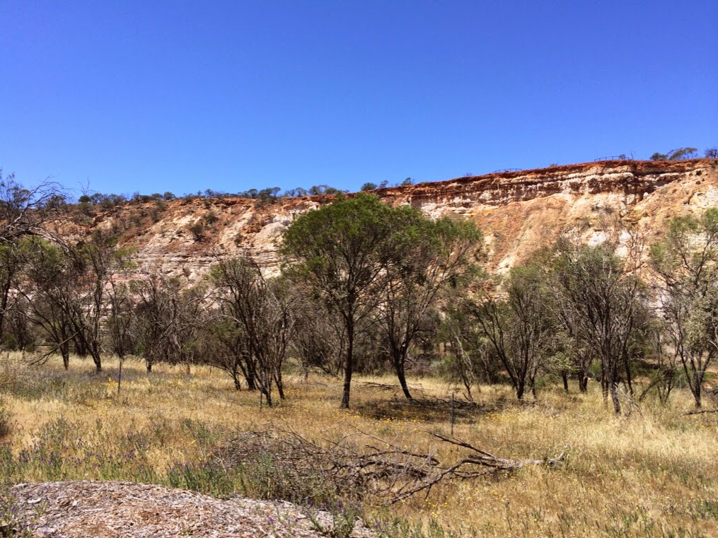 Where in the World are Robert and Cherryl?: Mullewa, Wildflower Country