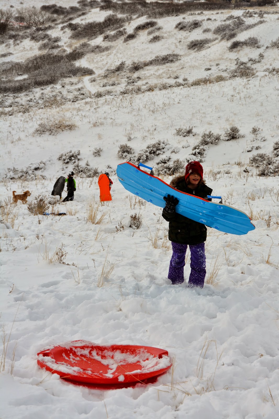 Aesthetic Nest: Crochet: Triple Strand Earflap Hats for Sledding