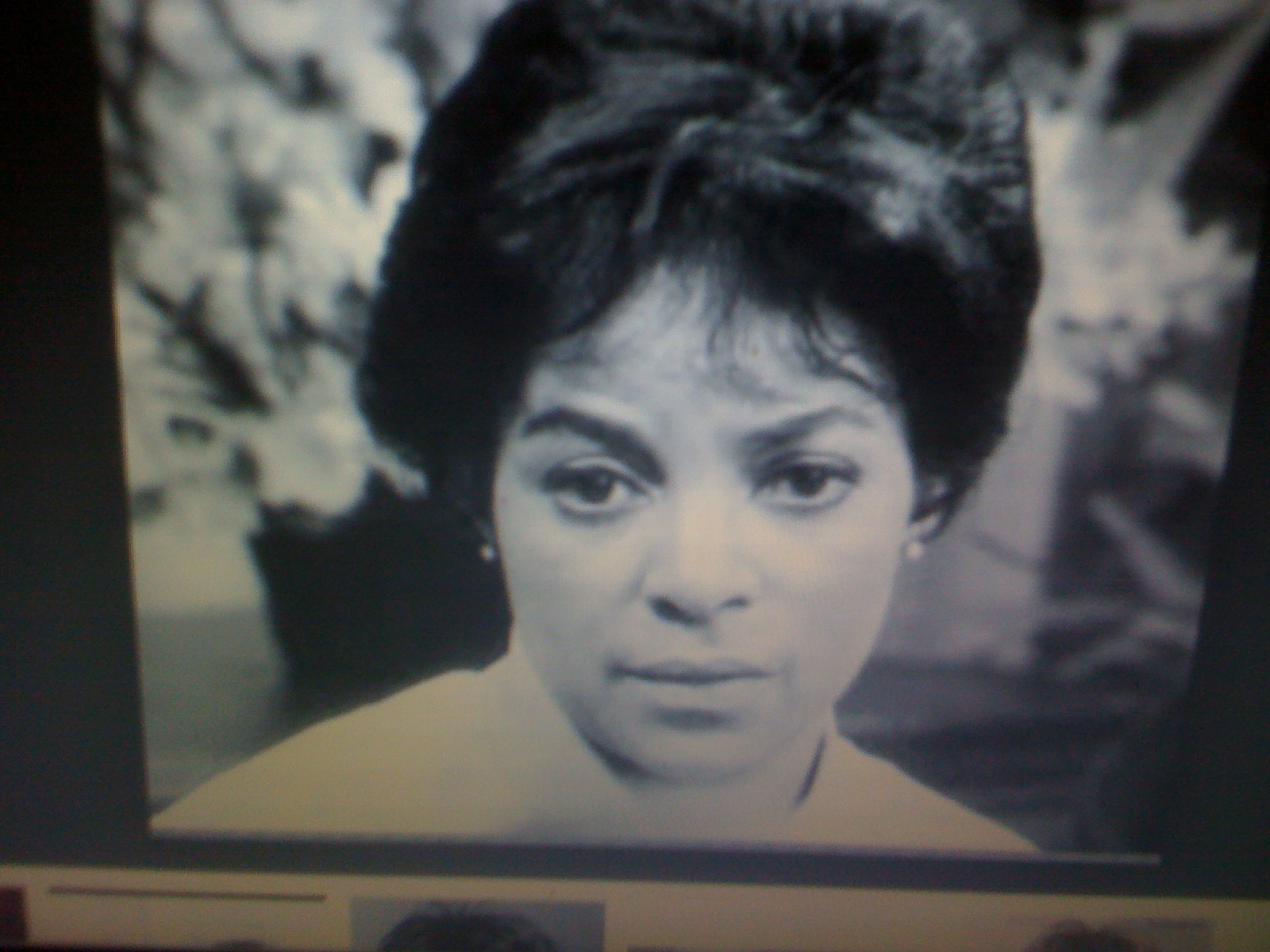 THE BLACK SOCIAL HISTORY:: BLACK SOCIAL HISTORY : AFRICAN AMERICAN ...