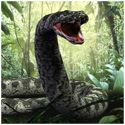 Kisah Jenazah Ditemani Ular ~ Berita Alam Kubur