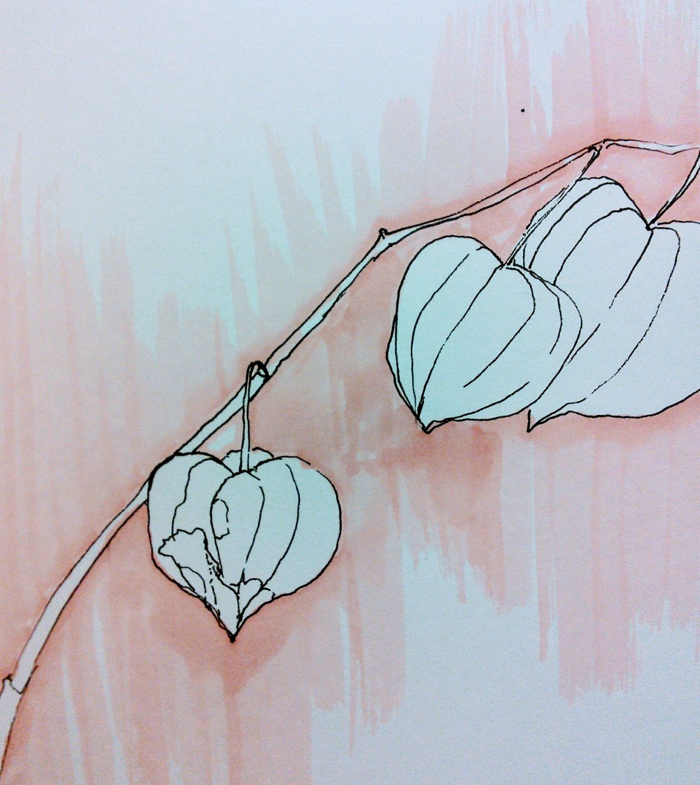 Feel. Create. Repeat.: Three plant studies in pen and marker