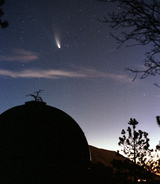 May 19, or Halley Comet and Genocide