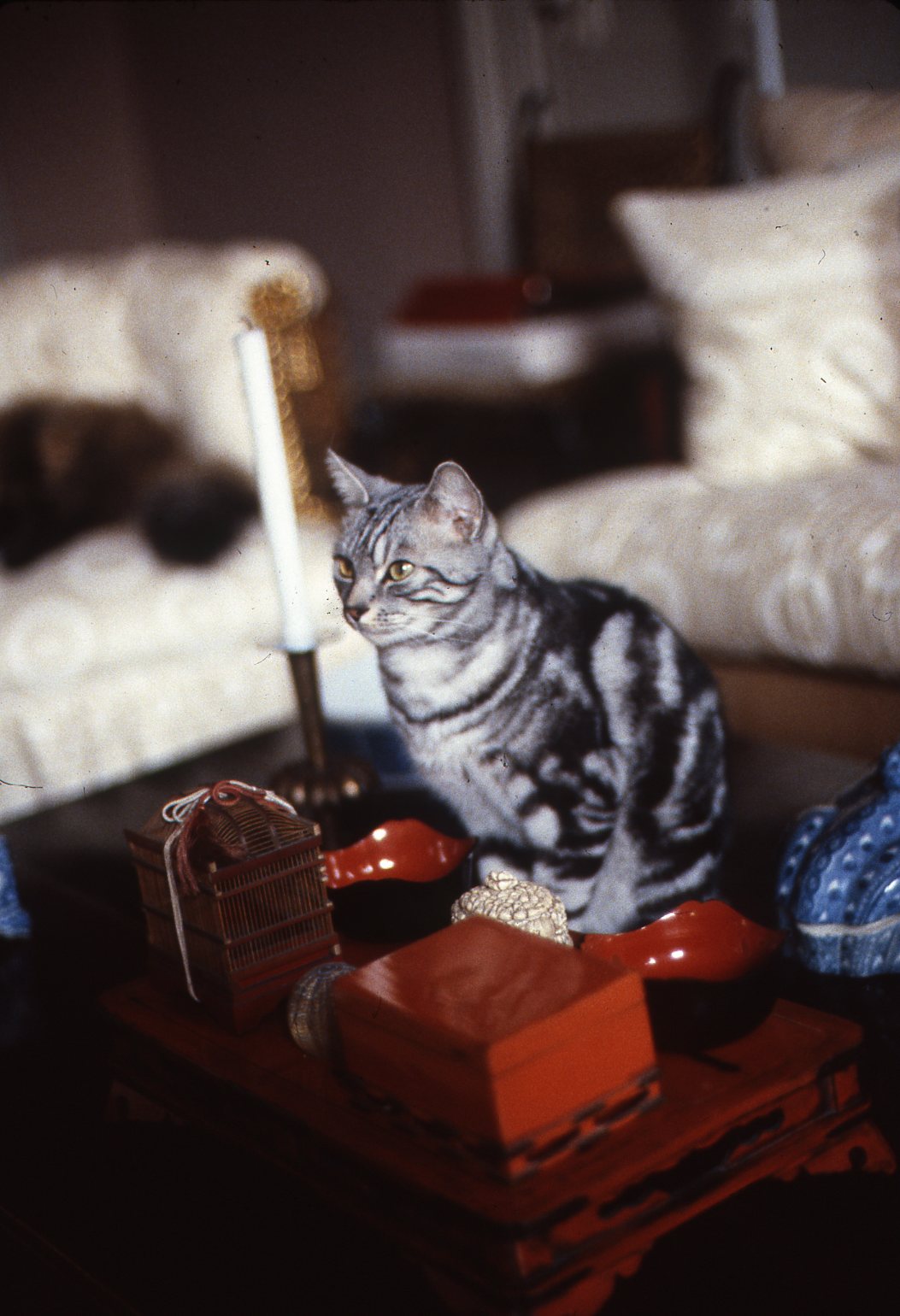 The Peak of Chic®: The Collection of Edward Zajac