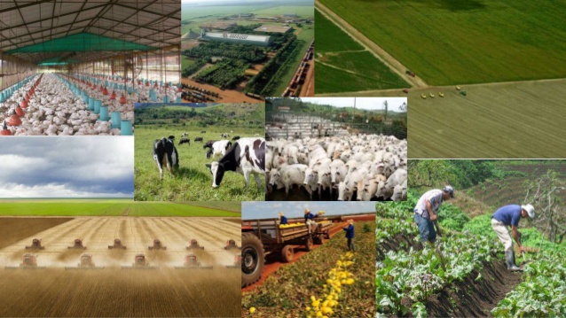 O Espaço Geográfico : ESPAÇO RURAL, ESPAÇO URBANO E SUA ARTICULAÇÃO.