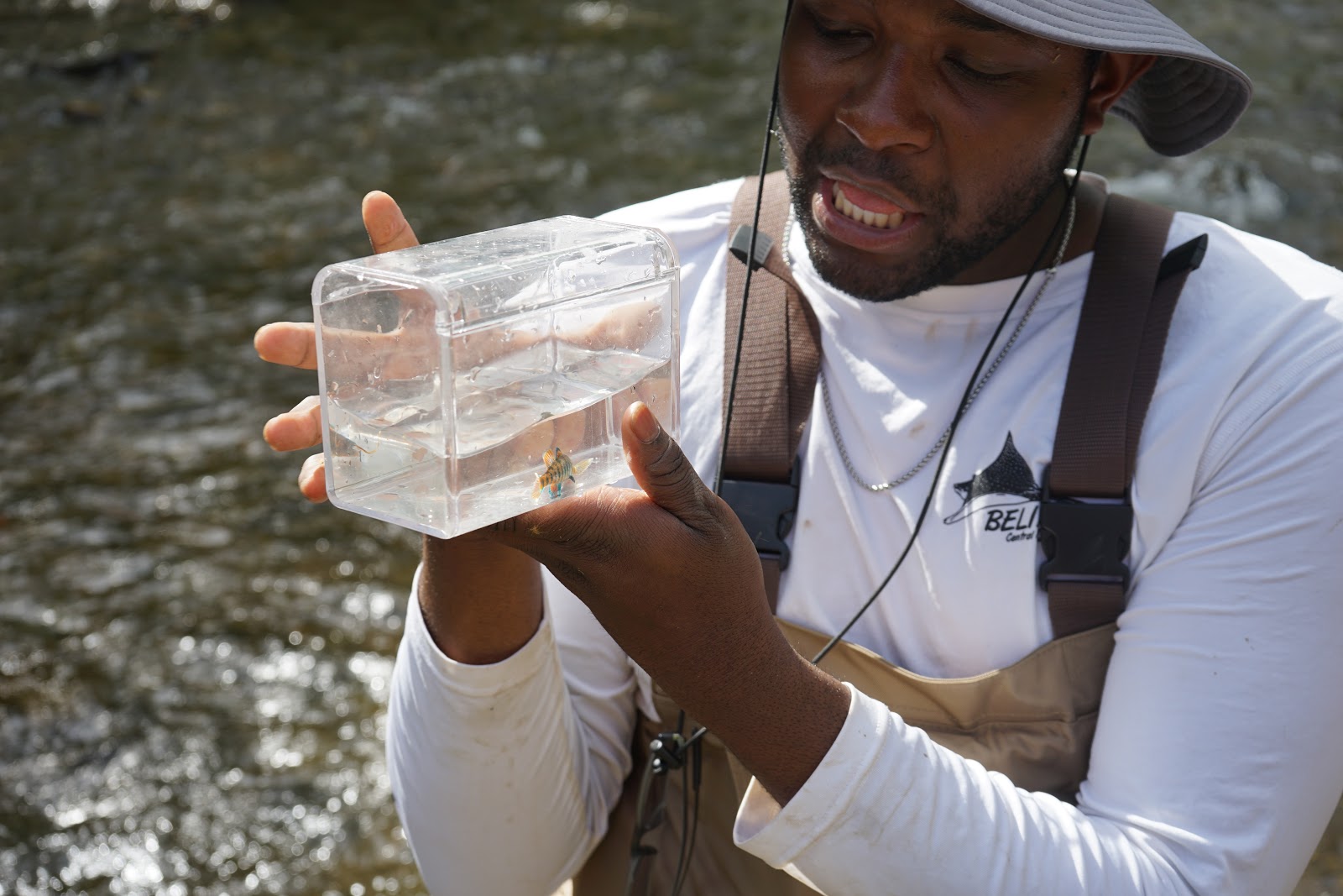 Virginia Tech Ichthyology Class : Student's Digital Stories "On ...