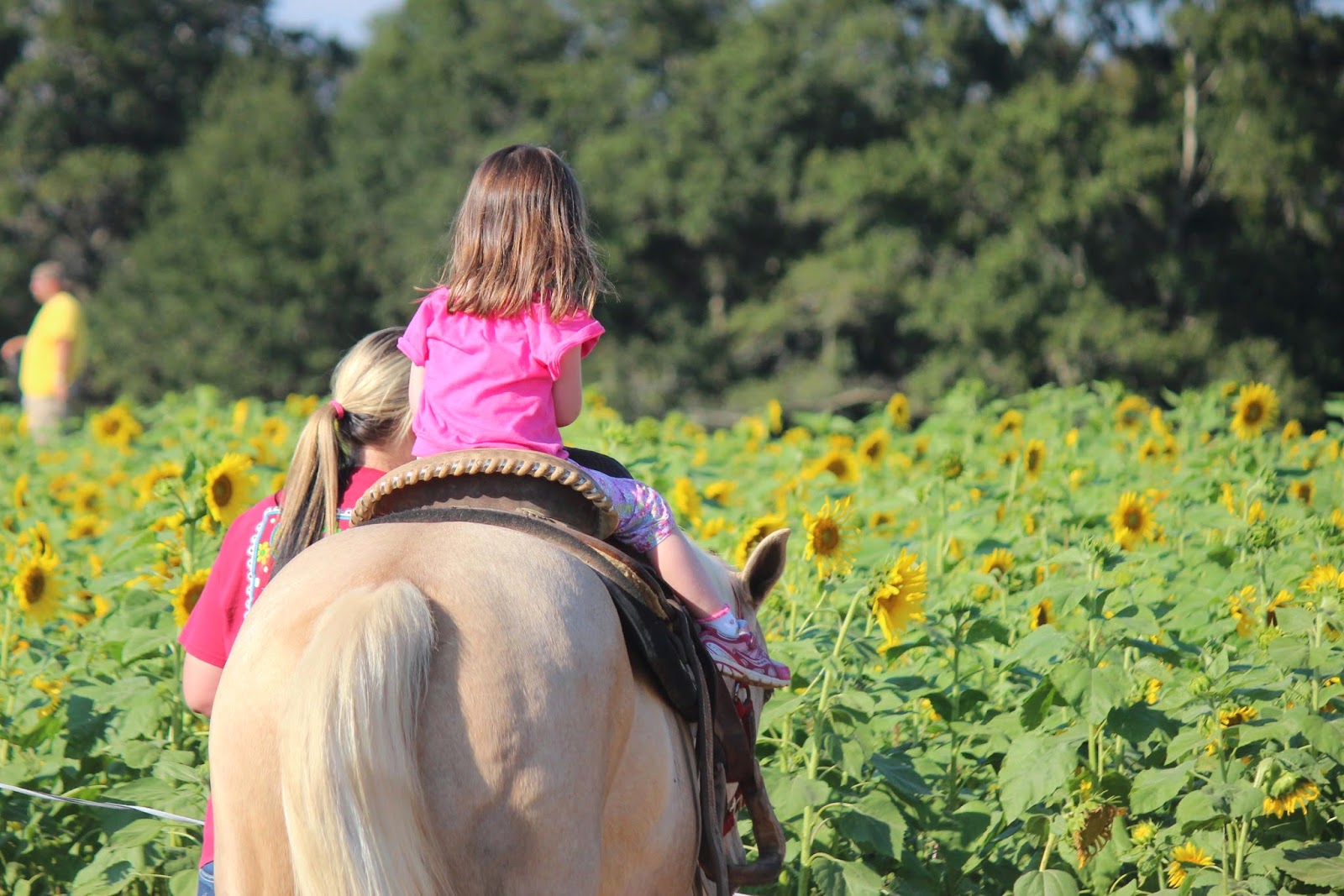 Family fun: Corn Mazes & Pumpkin Patches