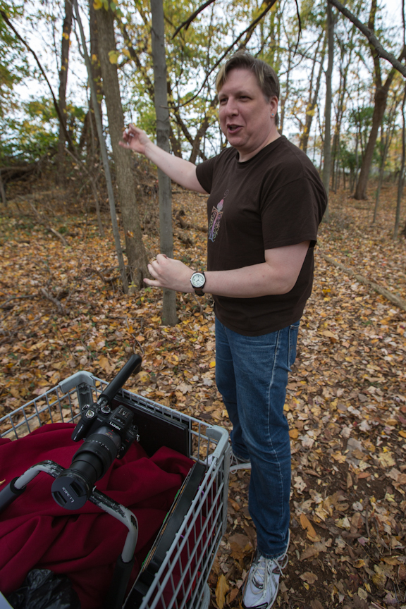 Pleasure for the Empire: Pictures from Libby Day 3 II