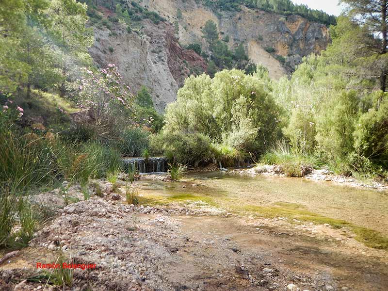 BICHOS Y MAS VLC: DE PASEO POR El RÍO FRAILE MENOS CONOCIDO