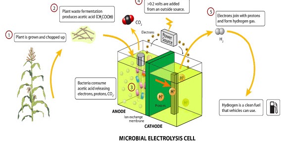 amudu: Efficient microbial fuel cell