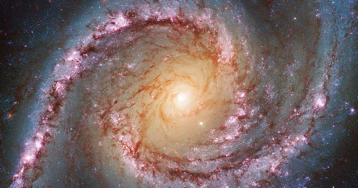 Jean-Baptiste Faure: Spiral Seyfert Galaxy NGC 1566