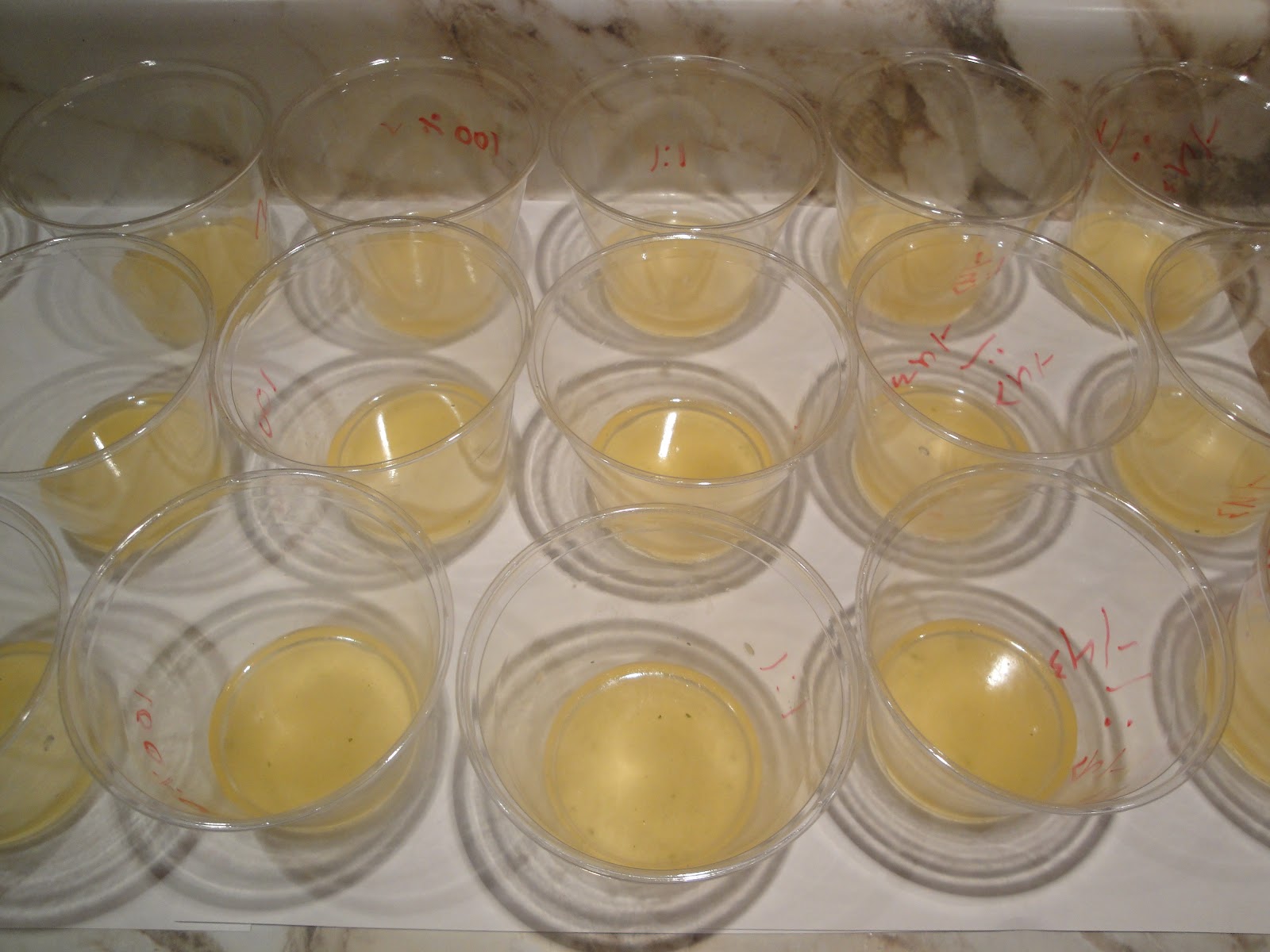 SMMARTideas: SMMART SCIENCE: Make your own Agars