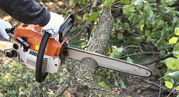 How to make sharp, safe cuts with a chainsaw | The Tool Yard