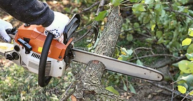 How to make sharp, safe cuts with a chainsaw | The Tool Yard