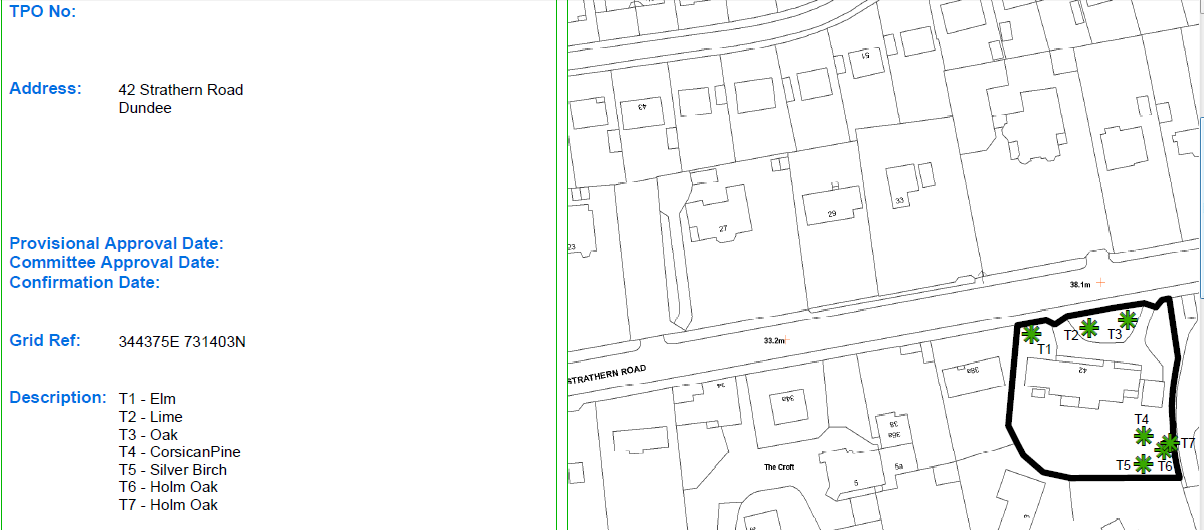 Laurie Bidwell: Tree Preservation Order in Strathern Road Approved