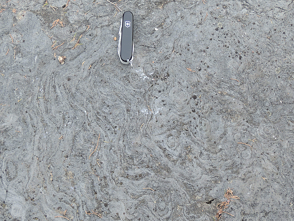 Chazy Reef - Part II ~ Hudson Valley Geologist