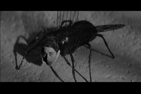 Café Deutschland: George Langelaan / Kurt Neumann: Die Fliege