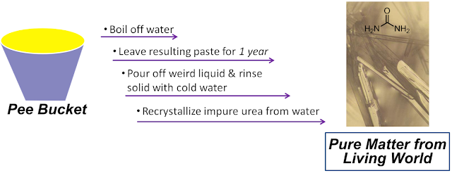 Science Minus Details: Why Pee is Cool - entry #5 - "How Pee Unites You ...