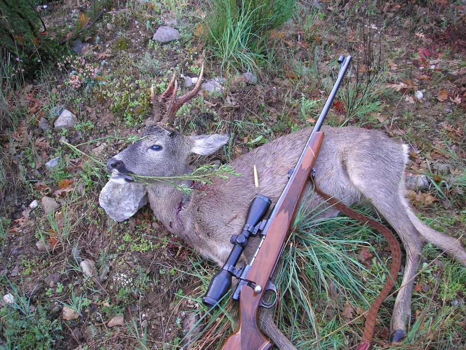 El mundo de la caza: Rifles más usados