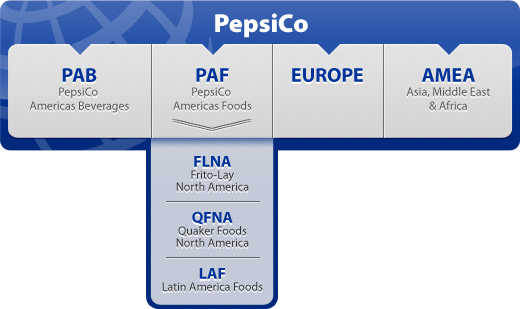 PepsiCo Inc.- ISM: Organizational Structure