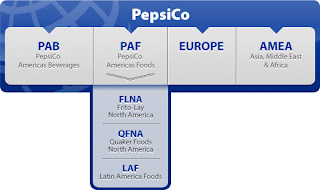 PepsiCo Inc.- ISM: Organizational Structure