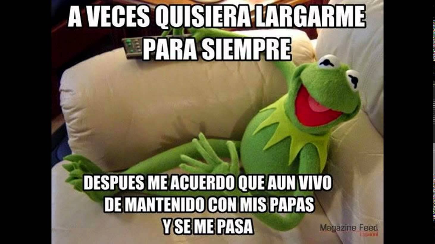 Memes Rana René (Gustavo)