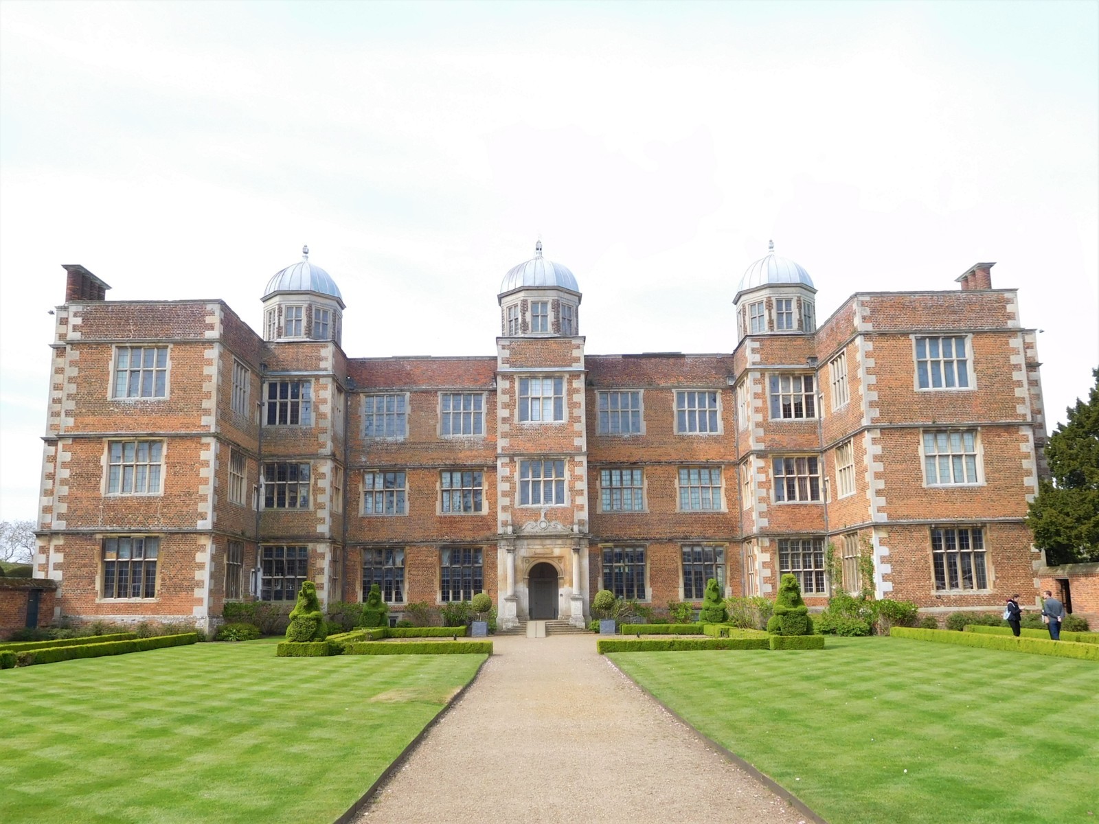 Galanthus : Doddington Hall, Lincolnshire. Breakfast, Cows and Peace