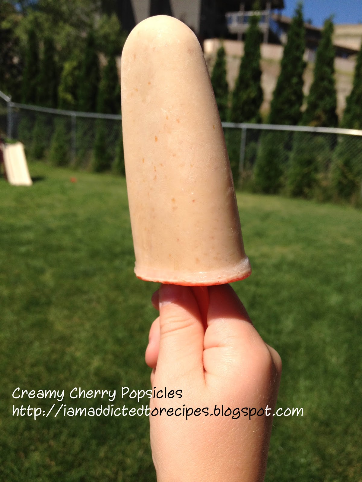 Addicted to Recipes: Creamy Cherry Popsicles