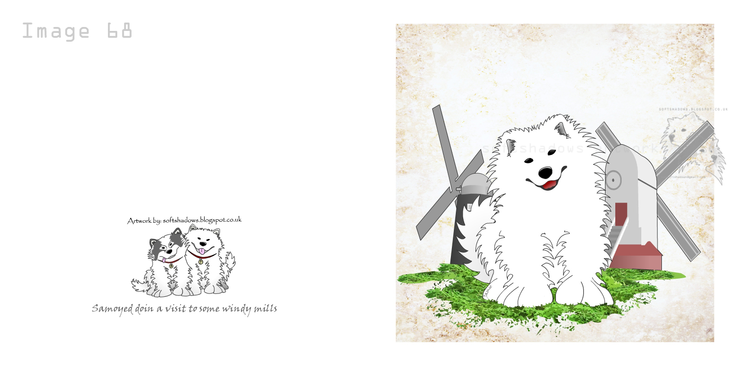 Softshadows art: Samoyed greetings cards