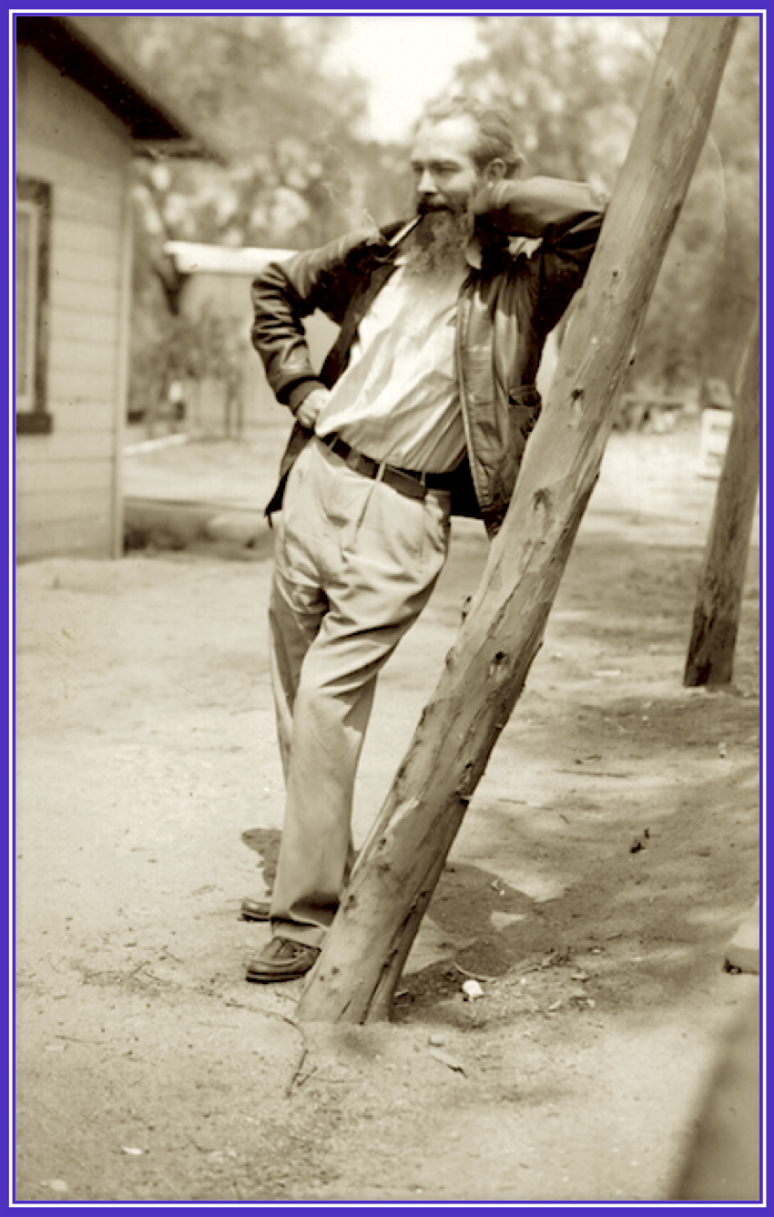 The Great Cosmic Story: It Is Not By Chance—Revelation