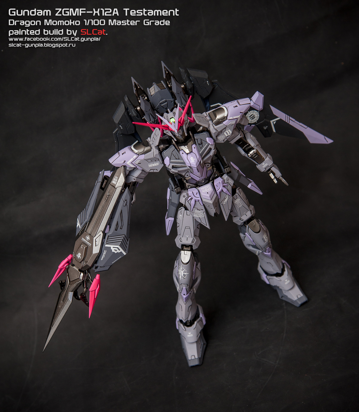 SLCat Gunpla Blog: DM 1/100 MG Testament Gundam