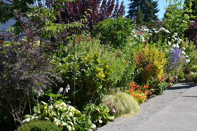 Bonney Lassie: Some Florid Prose. Pictures Too.