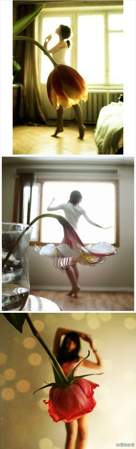 Cool Pinterest Pictures: Pinterest Pictures 4/24