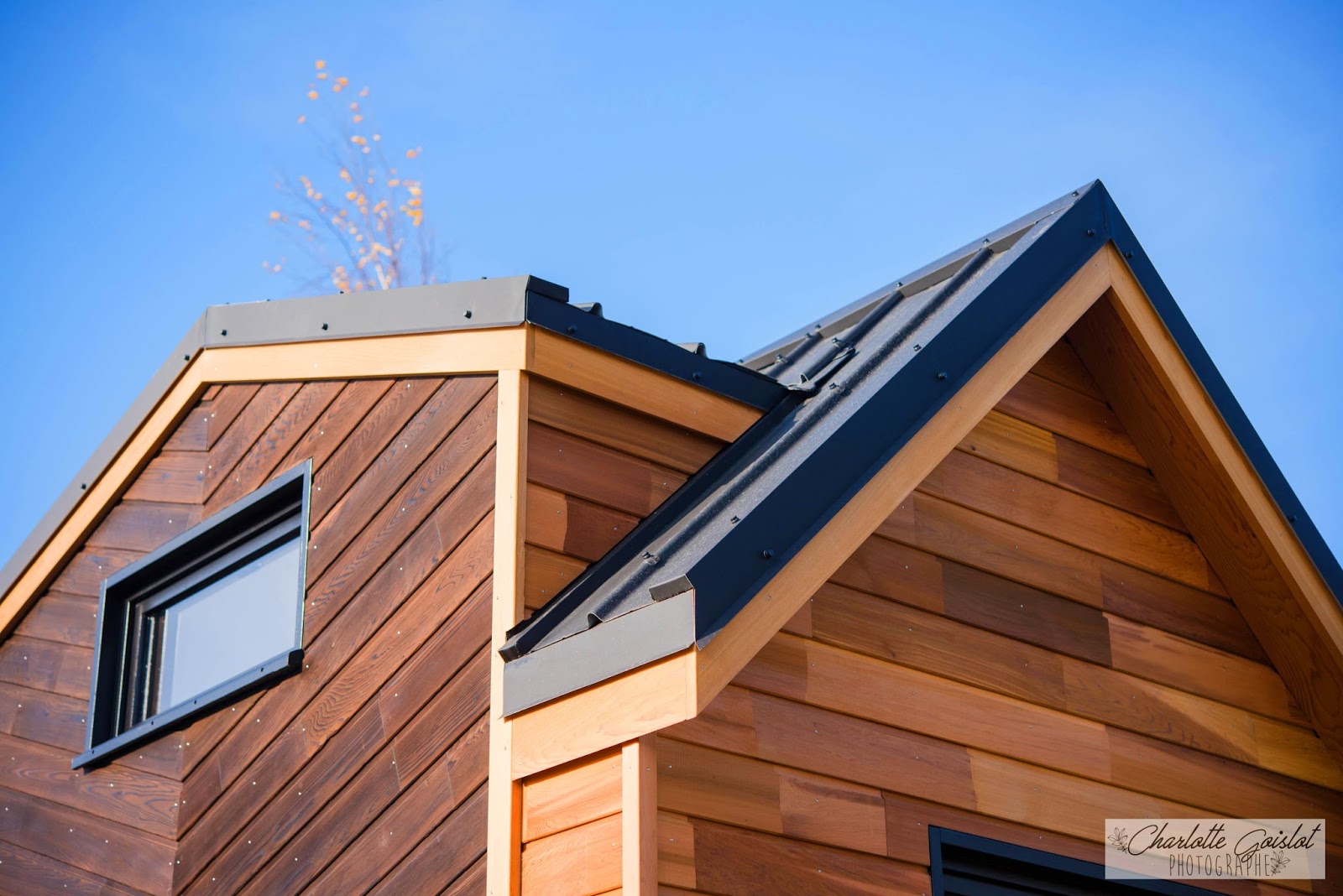 TINY HOUSE TOWN: The Calypso Tiny House From Baluchon