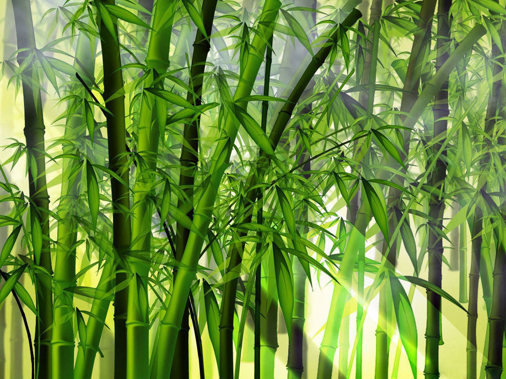 RW PAISAGISMO: ESCULTÓRICA: BAMBU