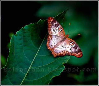 GaMbAr RaMa RaMa - CaNTiK TeRTaRiK MeNaRiK