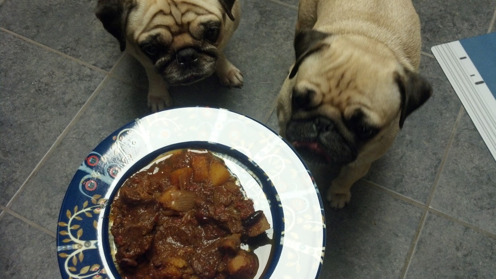 Grubbin' Pugs: Beef Tagine with Butternut Squash