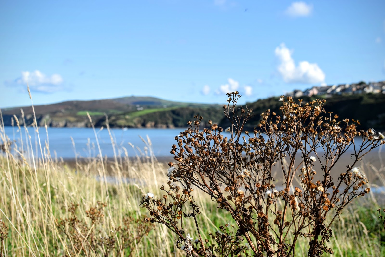 A Good Day in Goodwick, October 2016 - Diary of the Evans-Crittens