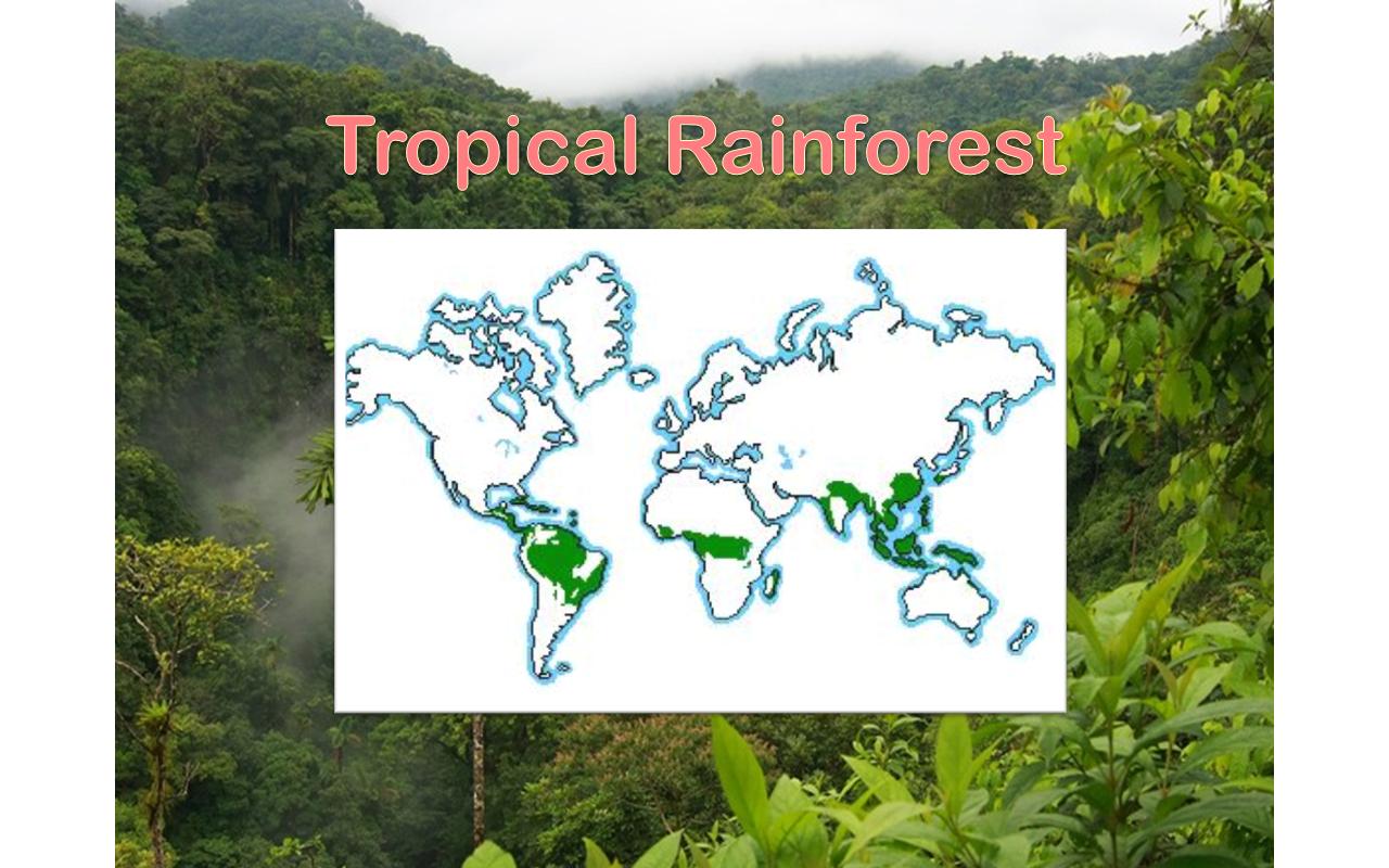 5th Grade - Andrés Segovia: SCIENCE: UNIT 2 - Tropical Rainforests
