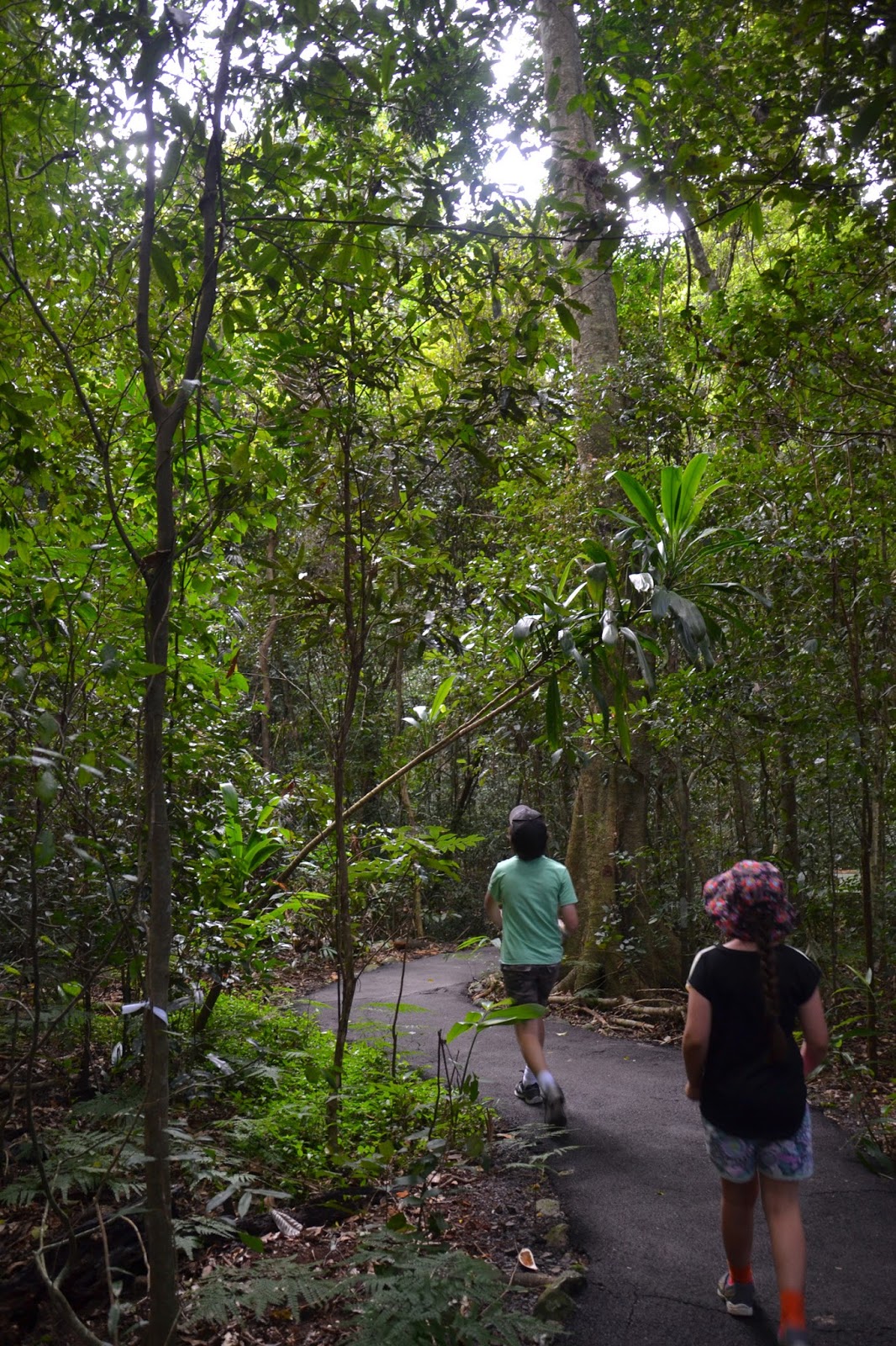 Life & Times: Walking at Kenilworth - Fig Tree Walk