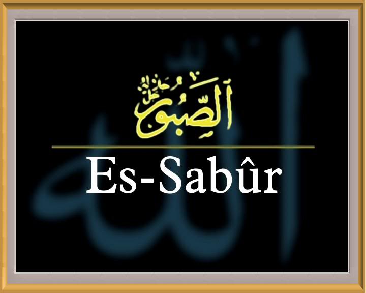 DUALAR HAZİNESİ : Es Sabur