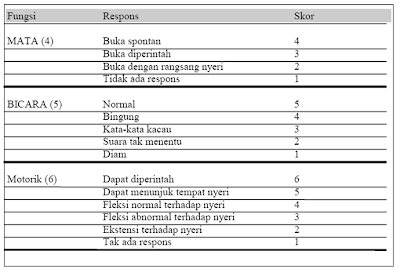 Informasi Kesehatan dan Kedokteran: Glasgow coma scale ( skala koma ...