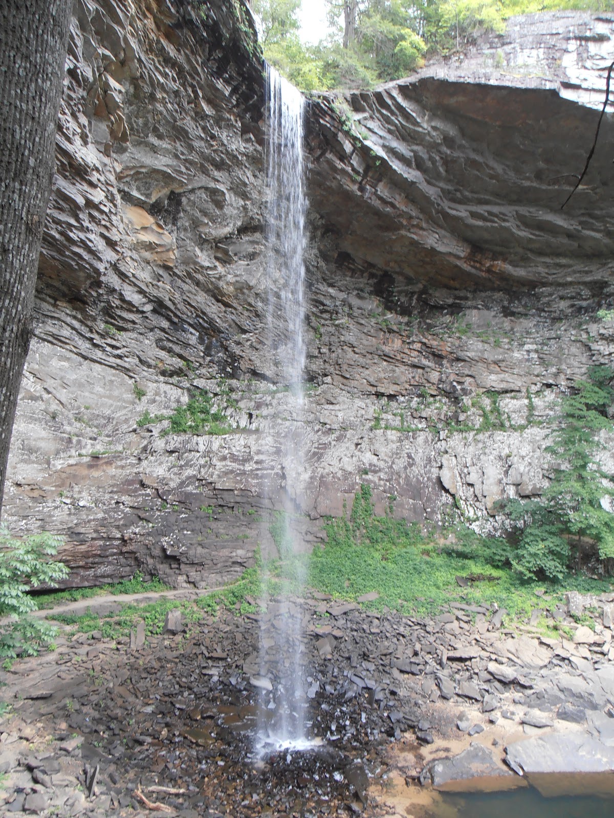 American Travel Journal: Ozone Falls State Natural Area