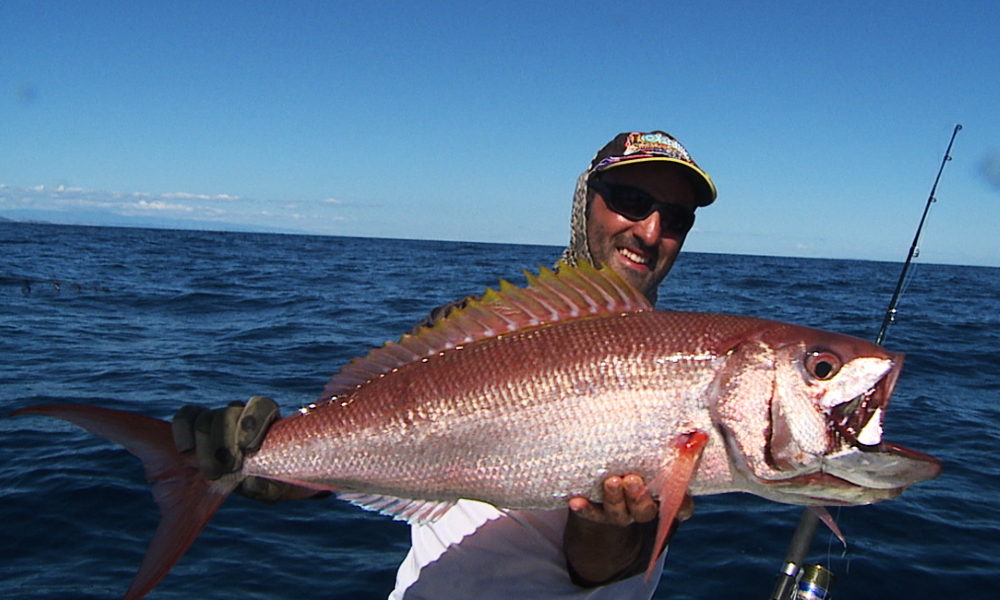 nosolomosca: Madagascar día 5: Récord de profundidad