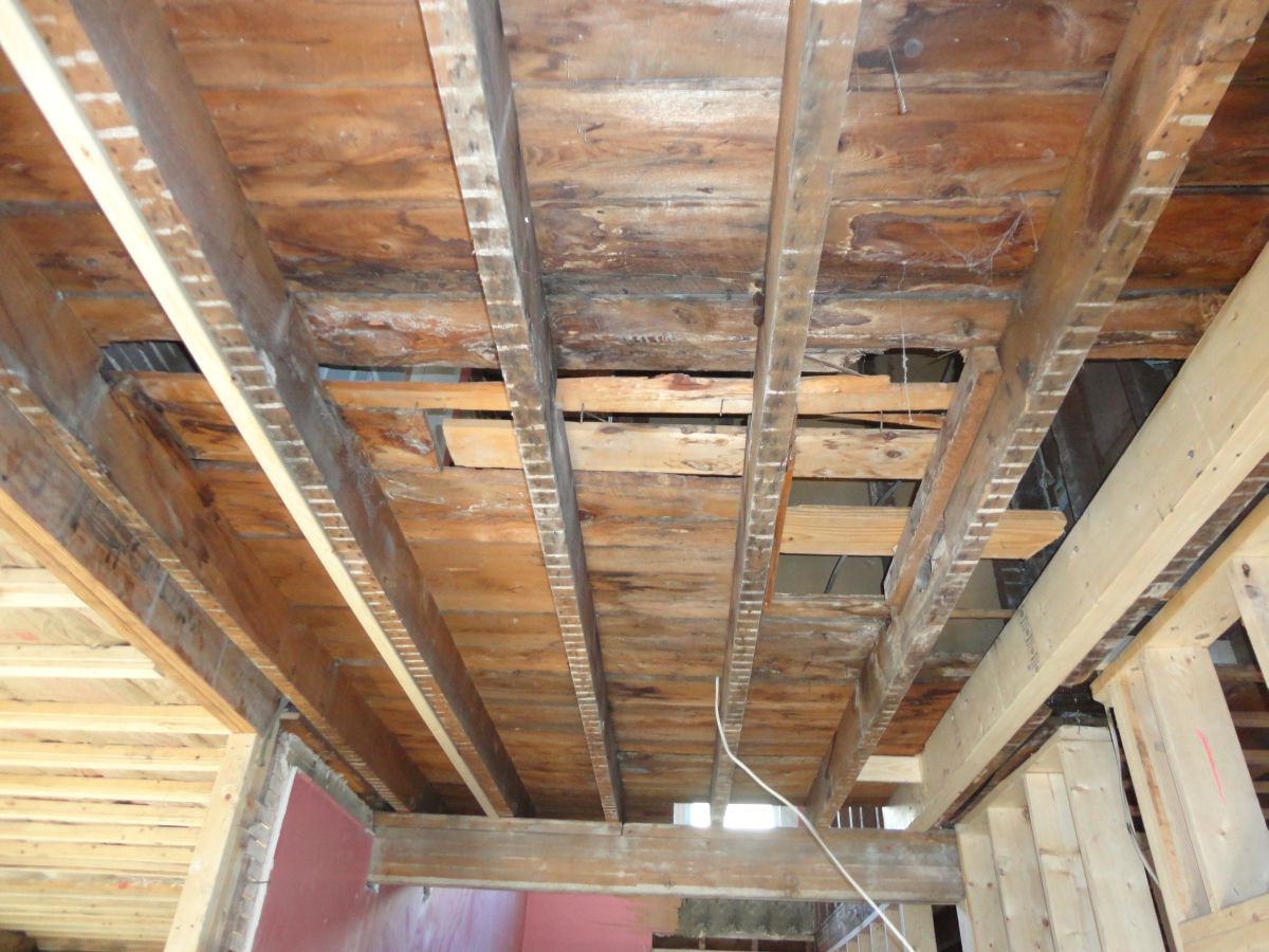 The Life of Cayce and Avi and Belle: Sistering a Joist
