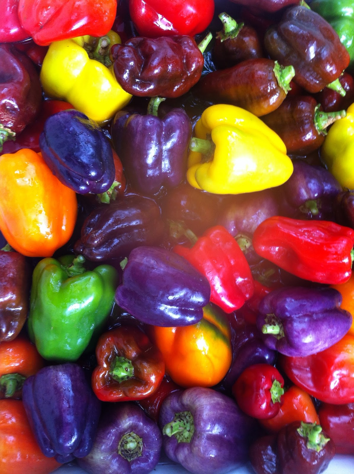 The Big Red Farm: More Fillings for Baked Peppers