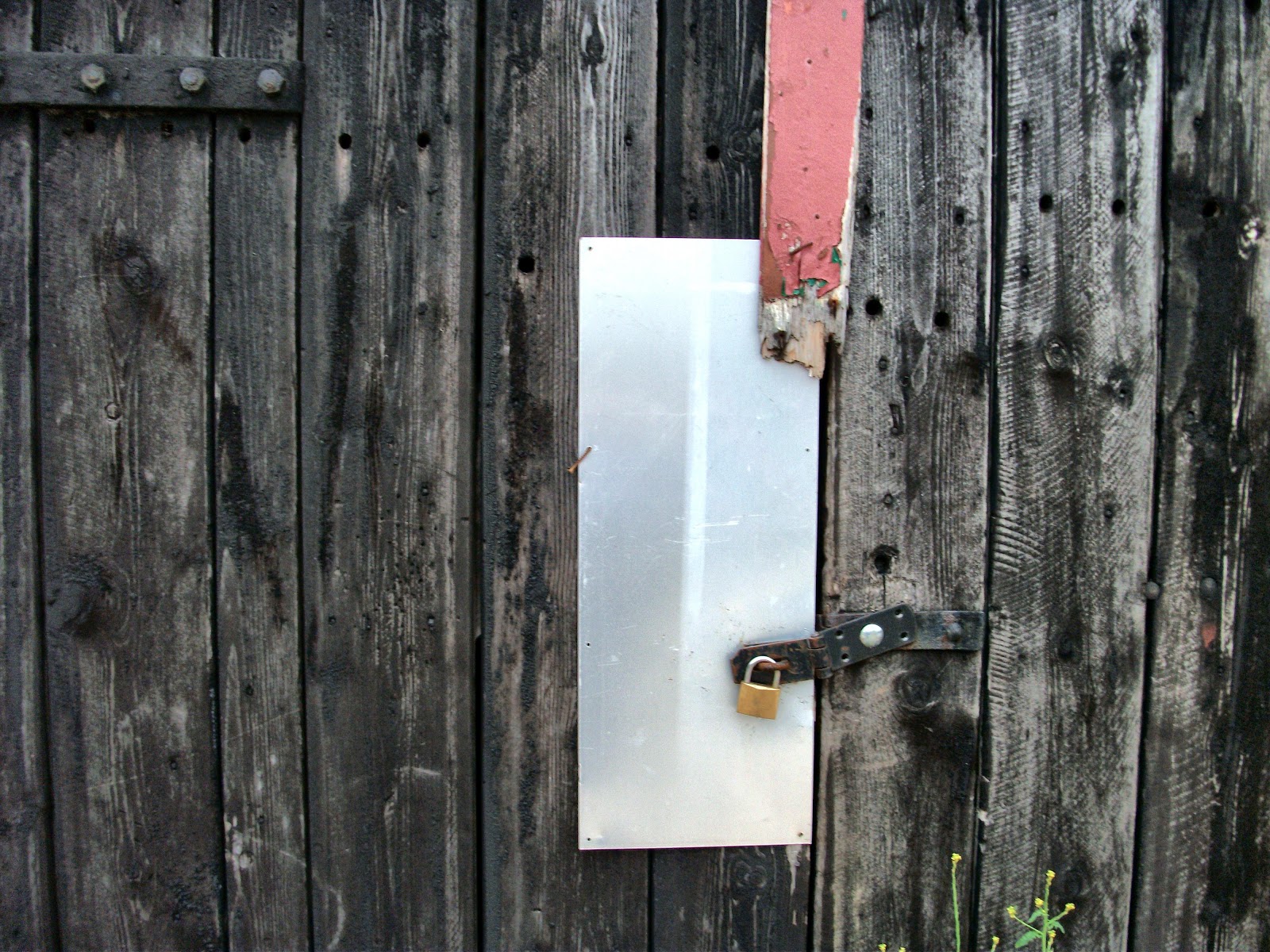 Andrew Lucas Photography