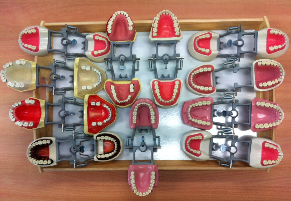 Dentistry@Sydney: Columbia Dentoform models