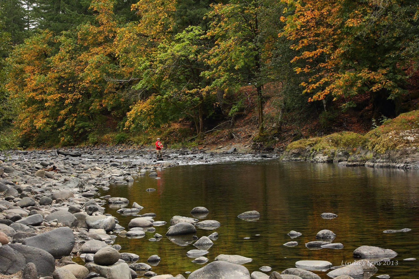 Linda's Lens: Along the Wilson River
